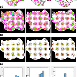 Evaluating the flatmap stack mapping.