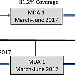 Survey and mass drug administration (MDA) timelines.