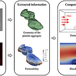 Flow diagram for the image-based modelling methodology implemented in ...