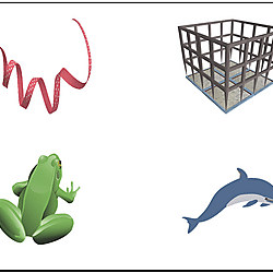 Example of the three conditions of the visual scene.
