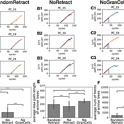Characteristic of 3 control scenarios.