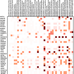 Heatmap for autism.