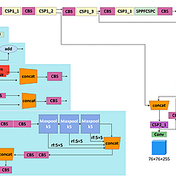 YOLOv5-plum network structure diagram.