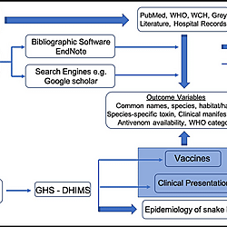 Flow chart showing information gathering process.