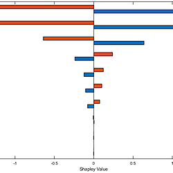 SHAP analysis for LITNET-2020 dataset.