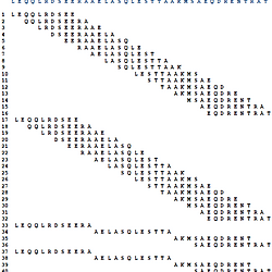 Sliding window technique.