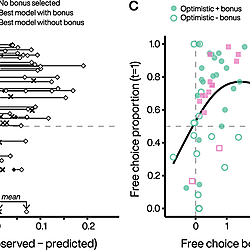 Reinforcement learning models capture individual choice preference.