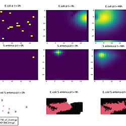 Quantitative assessment of the spatiotemporal tools.