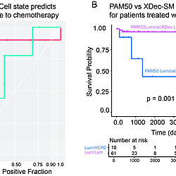 Cancer cell state map is predictive of therapy response.