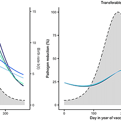 Pathogen reduction across different vaccine infectious periods.