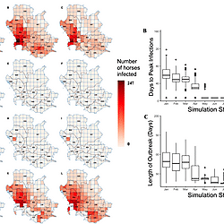 Overview of the outbreak dynamics in the AHS control zone from the ...