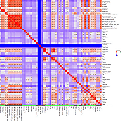Heatmap of tests similarities.