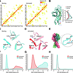 A gating model of the PAC channel.