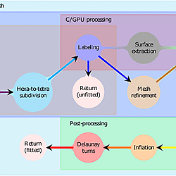 Mind map of the meshing process.