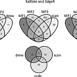 Venn diagrams showing the numbers of overlapping and batch-specific ...