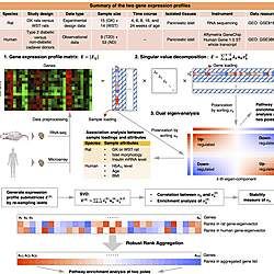 Summary of the transcriptome data and scheme of the data integration ...