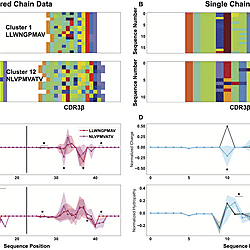 Isolation of individual sequence clusters and subsequent position ...