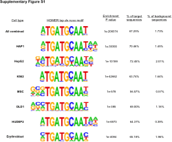 Motif logos for the most significant de novo motif detected in ATF4 ...