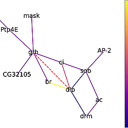 The heat map of a subgraph that determines the prediction for the ...