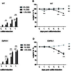Clinical disease activity score and weight loss after DSS treatment.