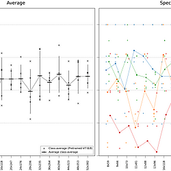 ViT performance at reduced image resolution.
