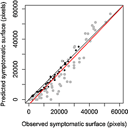 Comparison of symptomatic surface predicted by the reaction-diffusion ...
