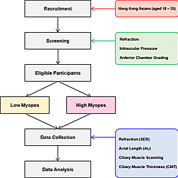 Flow chart depicting the experimental design.