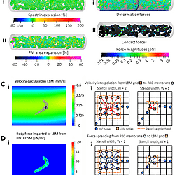 The fundamental components and physics of the cell-and-plasma phase CFD ...