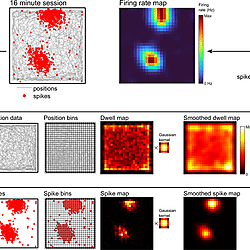 Schematic showing the histogram method.
