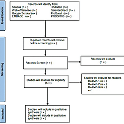 PRISMA protocol flowchart of literature selection.