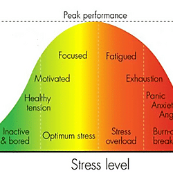 Adaptation of the Yerkes-Dodson law "inverted U-curve" for stress ...
