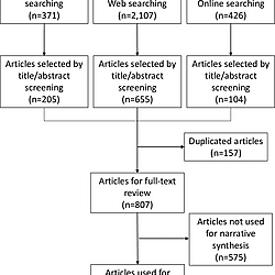 PRISMA ScR Flowchart.