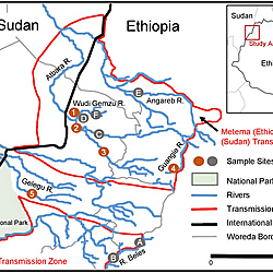 Map showing the Metema-Galabat and Metekel foci of onchocerciasis and ...