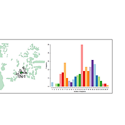Connectivity map and histogram.