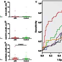 Autoantibodies directed against peptides of the second extracellular ...