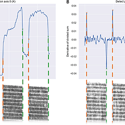 Instance segmentation of individual fields.