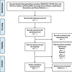 PRISMA flow chart for the scoping review process.