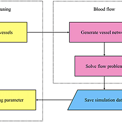 Flow chart summarising our model components.