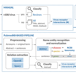 Workflow for the manual and automatic text-mining searches.
