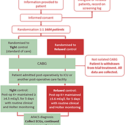 Flowchart of the study protocol.