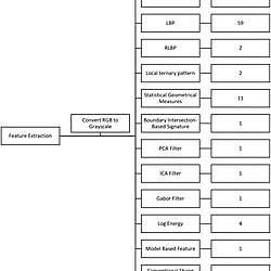 The diagram of all feature extraction methods.