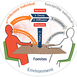 Schematic of processes in the epidemiological model.