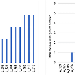The difference in the number of bee genera detected with two ...
