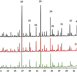 Pyrograms of extractive-free and desuberinised cork samples from the ...
