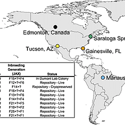Map of sample locations and summary of inbred strains imported to the ...