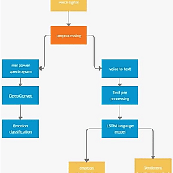 Flow chart of the proposed model.