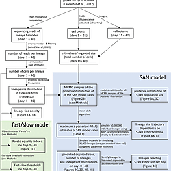 Computational Flowchart.