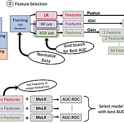 Data analysis pipeline and machine learning algorithms to identify risk factors for development ...