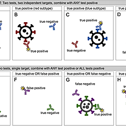 Two scenarios for multiple testing.