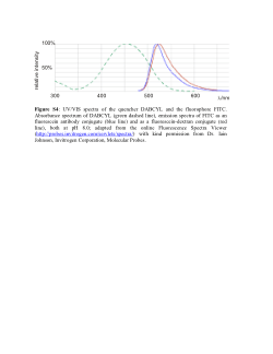 Attomolar Detection of Botulinum Toxin Type A in Complex Biological Matrices